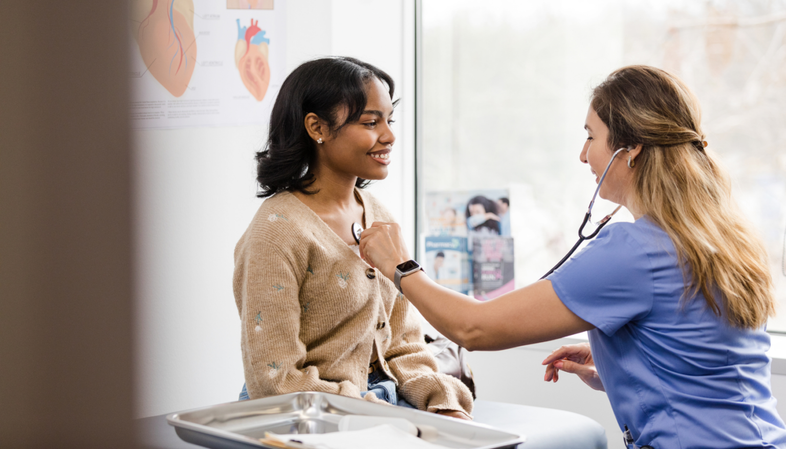 Compendium of U.S. Health Systems | Map Healthcare Access
